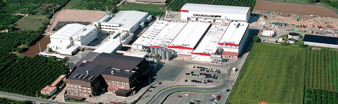 Palacios Alimentación con Generación de Nitrógeno in Situ